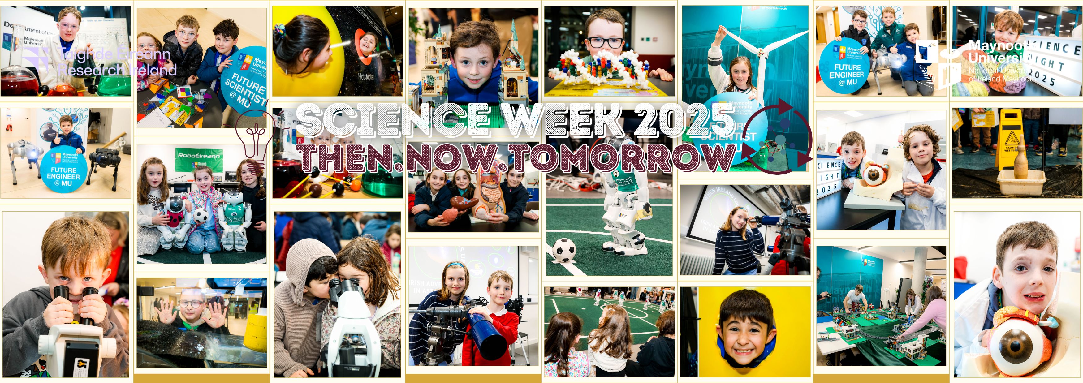 Faculty of Science & Engineering | Maynooth University