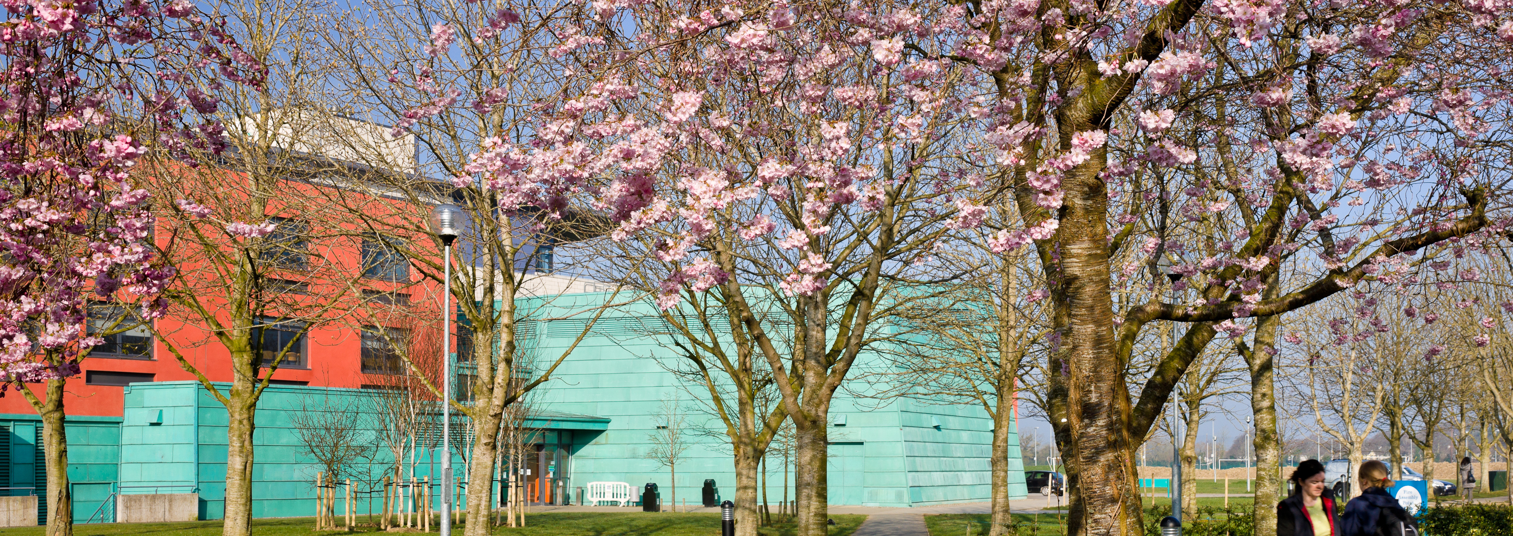 Maynooth University International Office