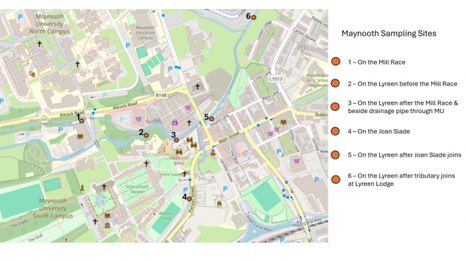 Maynooth Freshwater Citizen Science group | Maynooth University
