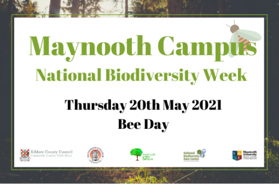 Biodiversity Week 2021 event | Maynooth University