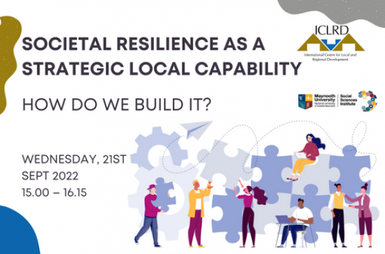 Societal resilience as a strategic local capability - how do we build ...