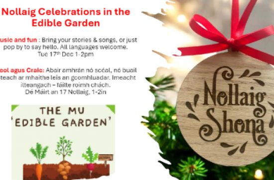 Ceiliúradh Nollag sa Gharraí Glasraí | Nollaig Celebration in the ...