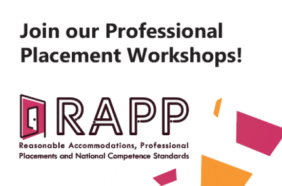 RAPP Project: Autumn Staff Consultation Workshops | Maynooth University