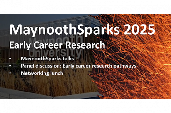Maynooth Sparks 2025: Early Career Research, Pathways & Building Teams ...